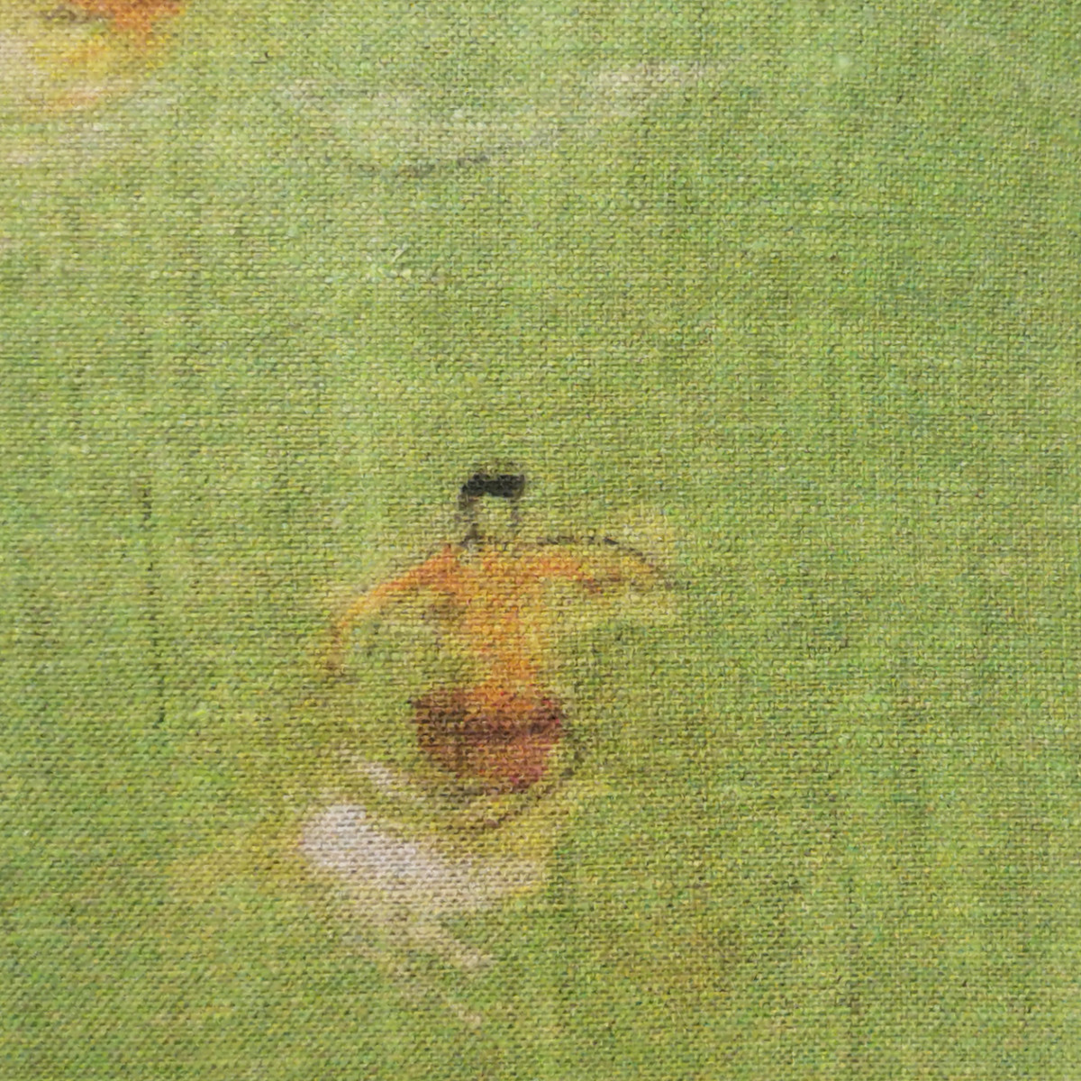 Baignade verte cover Size 34 x 34 cm